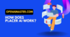 How Does Placer AI Work? - Open AI Master