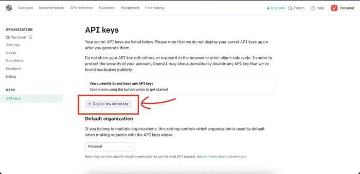 How To Get OpenAI API Key? - Open AI Master